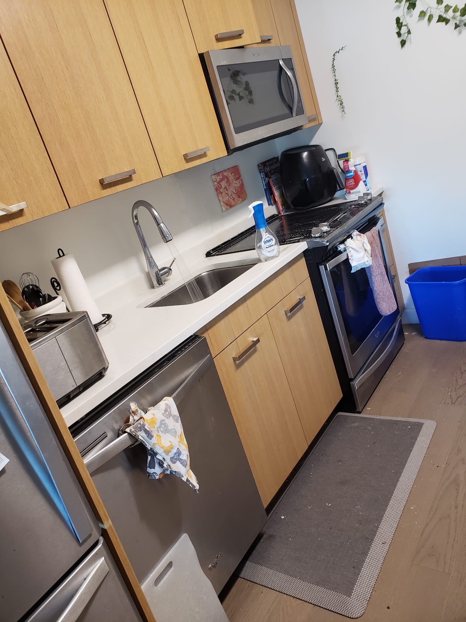 EMC CLEANERS INC in EVERETT Massachusetts