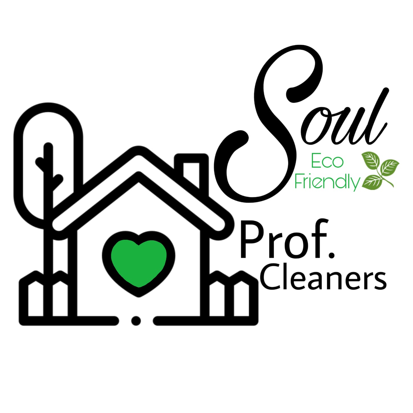 The Bests House Cleaners Service in Quincy Washington !! Local Services